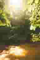 Carbon Credit Registry & Platform | International Carbon Registry