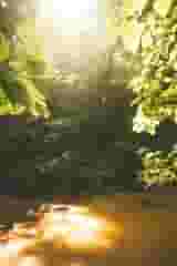 Carbon Credit Registry & Platform | International Carbon Registry