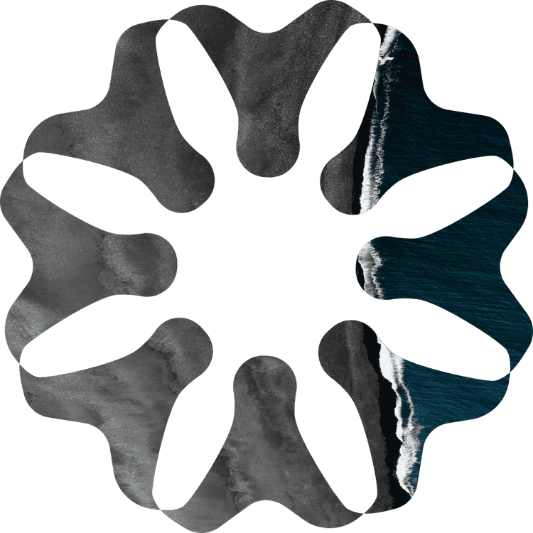 Carbon Registry Projects Overview